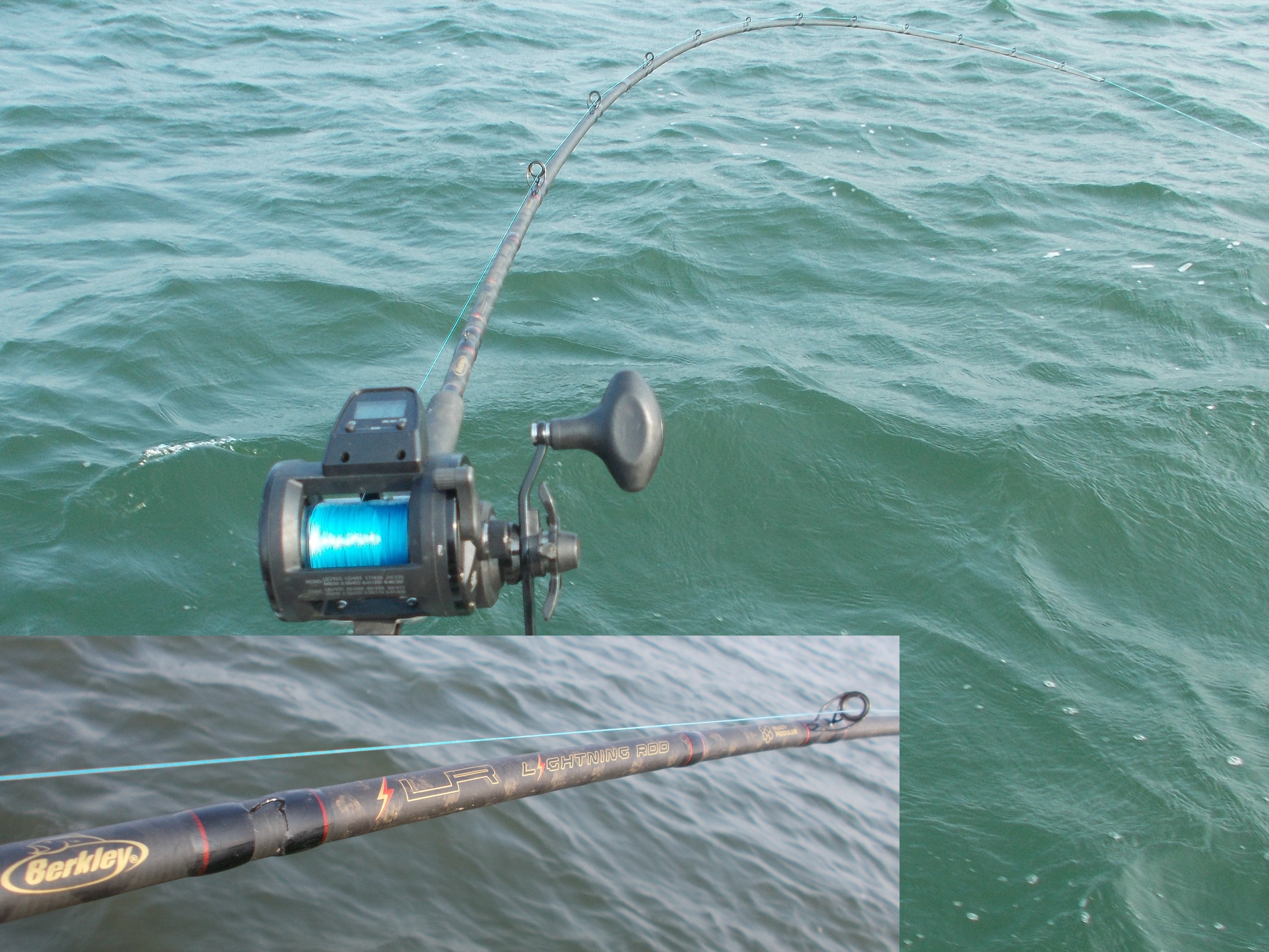 BERKLEY LIGHTNING ROD – TROLLING – FISHING TOYS