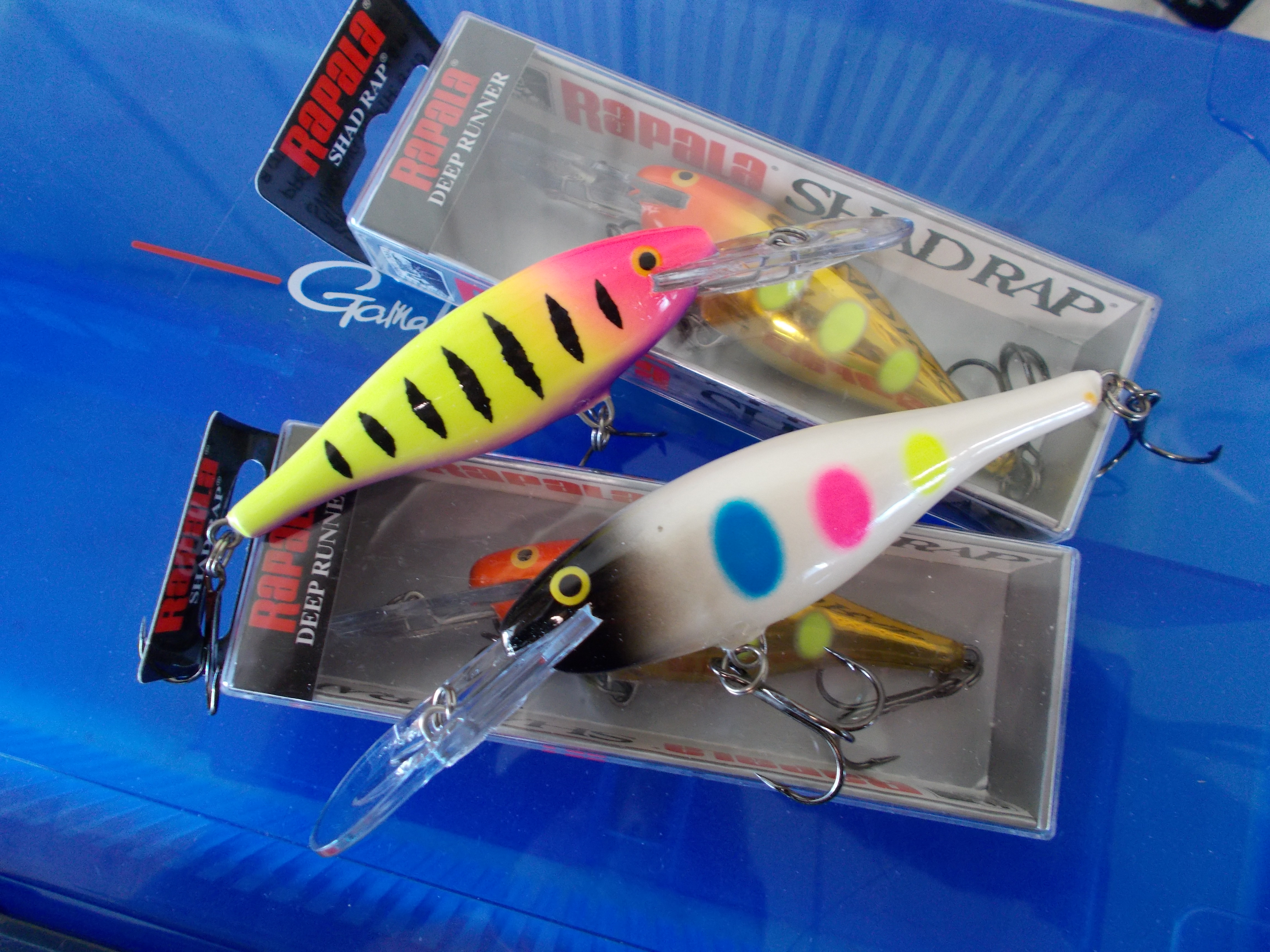 RAPALA SHAD RAP, NEW WALLEYE COLORS – FISHING TOYS