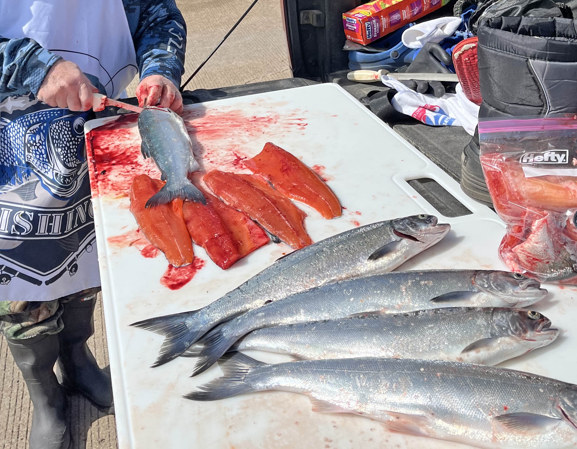NORTHLAKE TAILGATE BOARD – FISHING TOYS